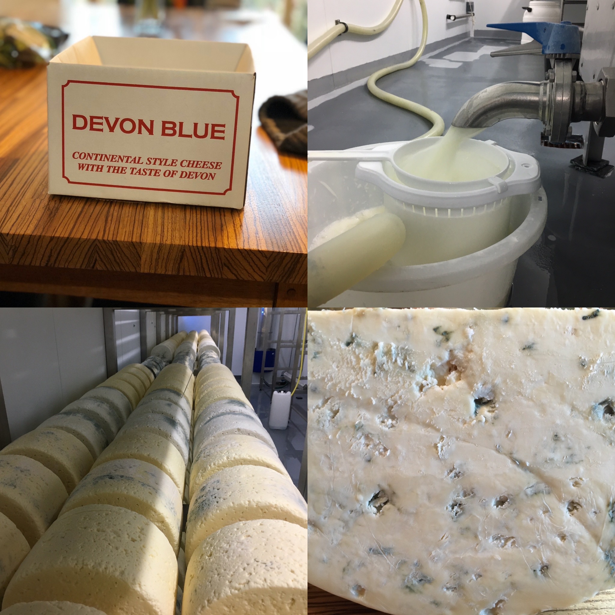 Devon Blue – Ticklemore Cheese Dairy
